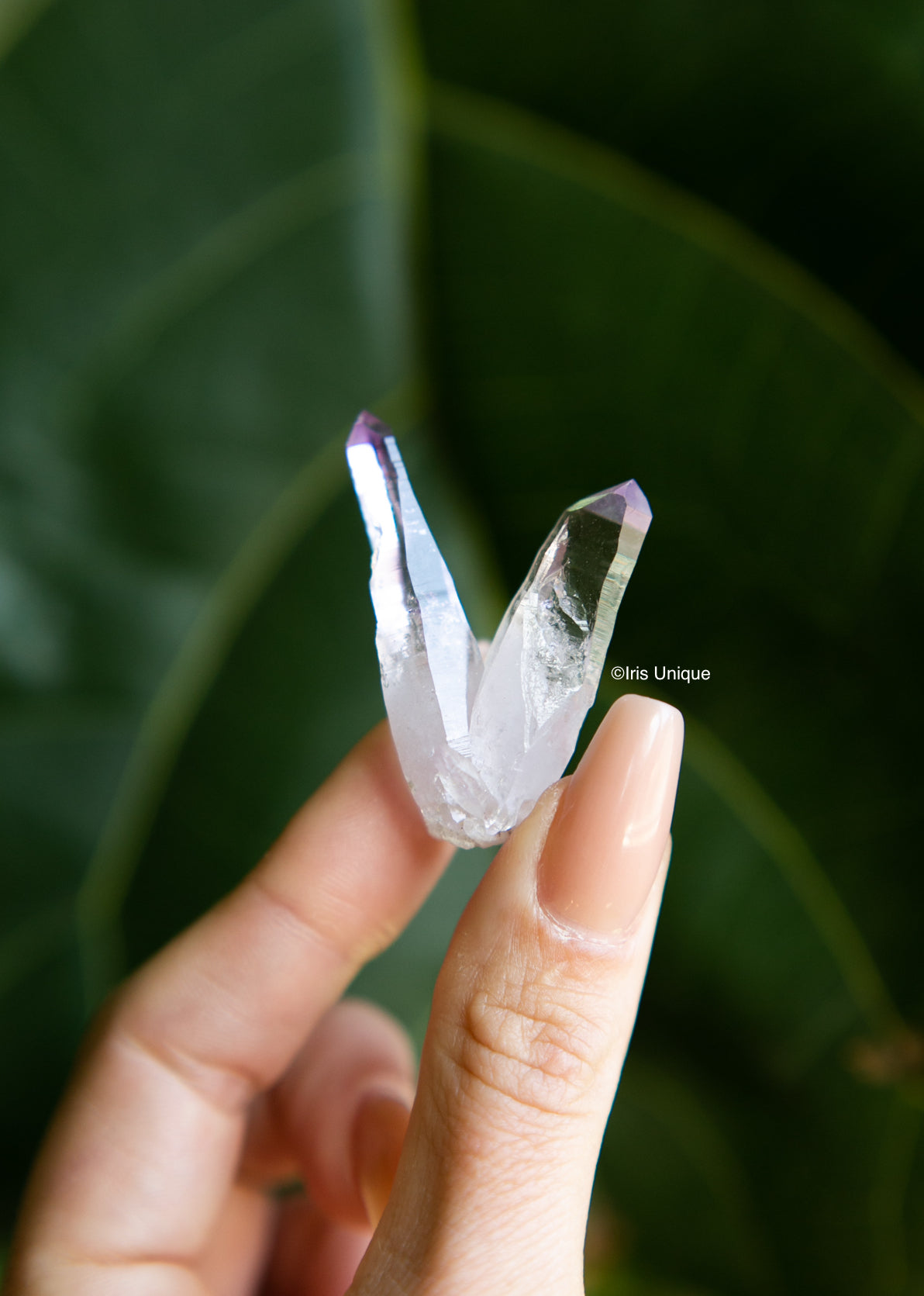 Twin Flame – Iris Unique