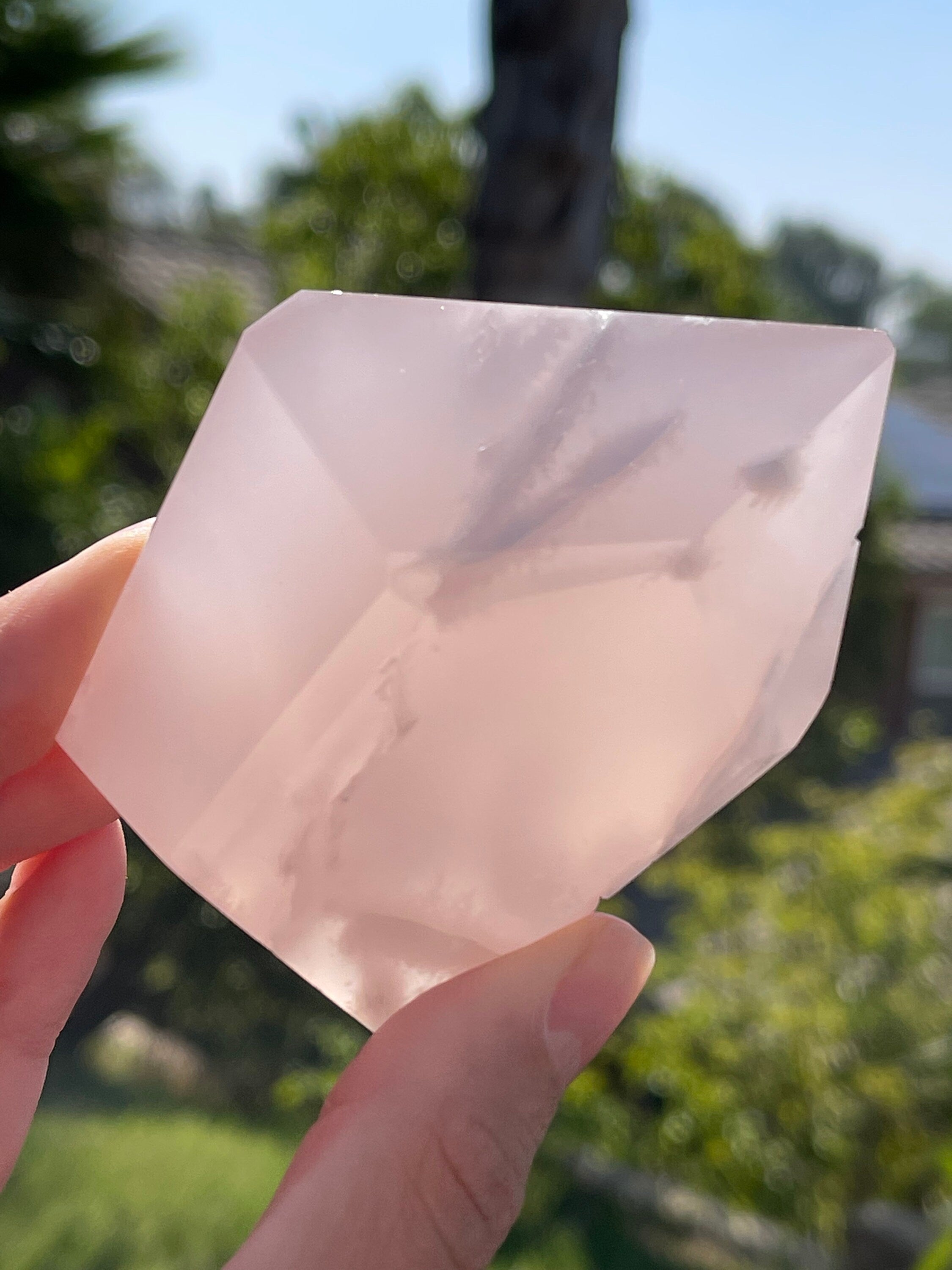 Freeforms – Iris Unique