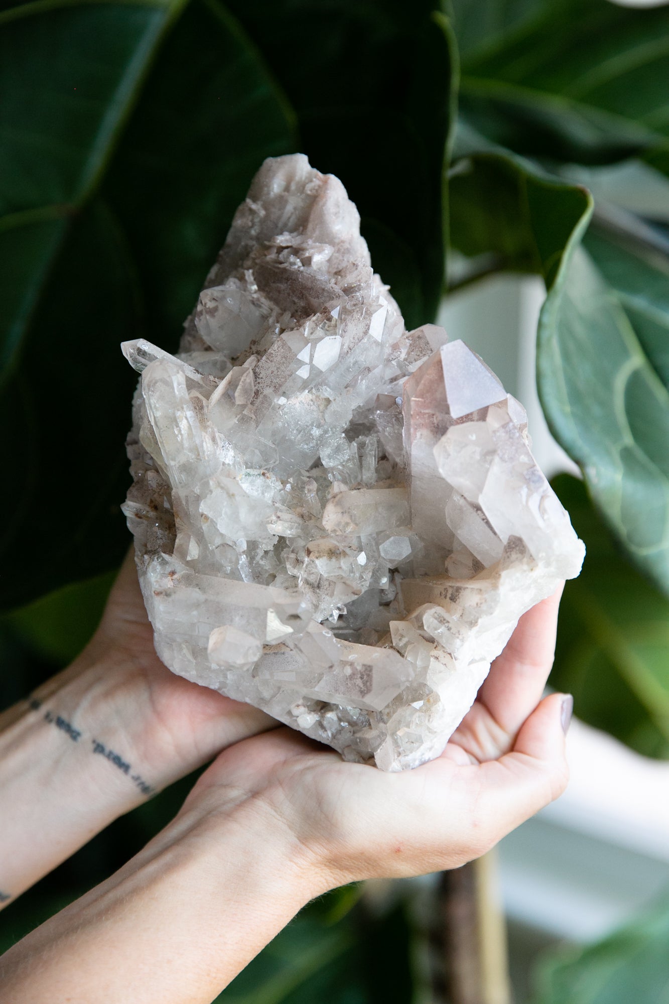 Lithium Lemurians – Iris Unique