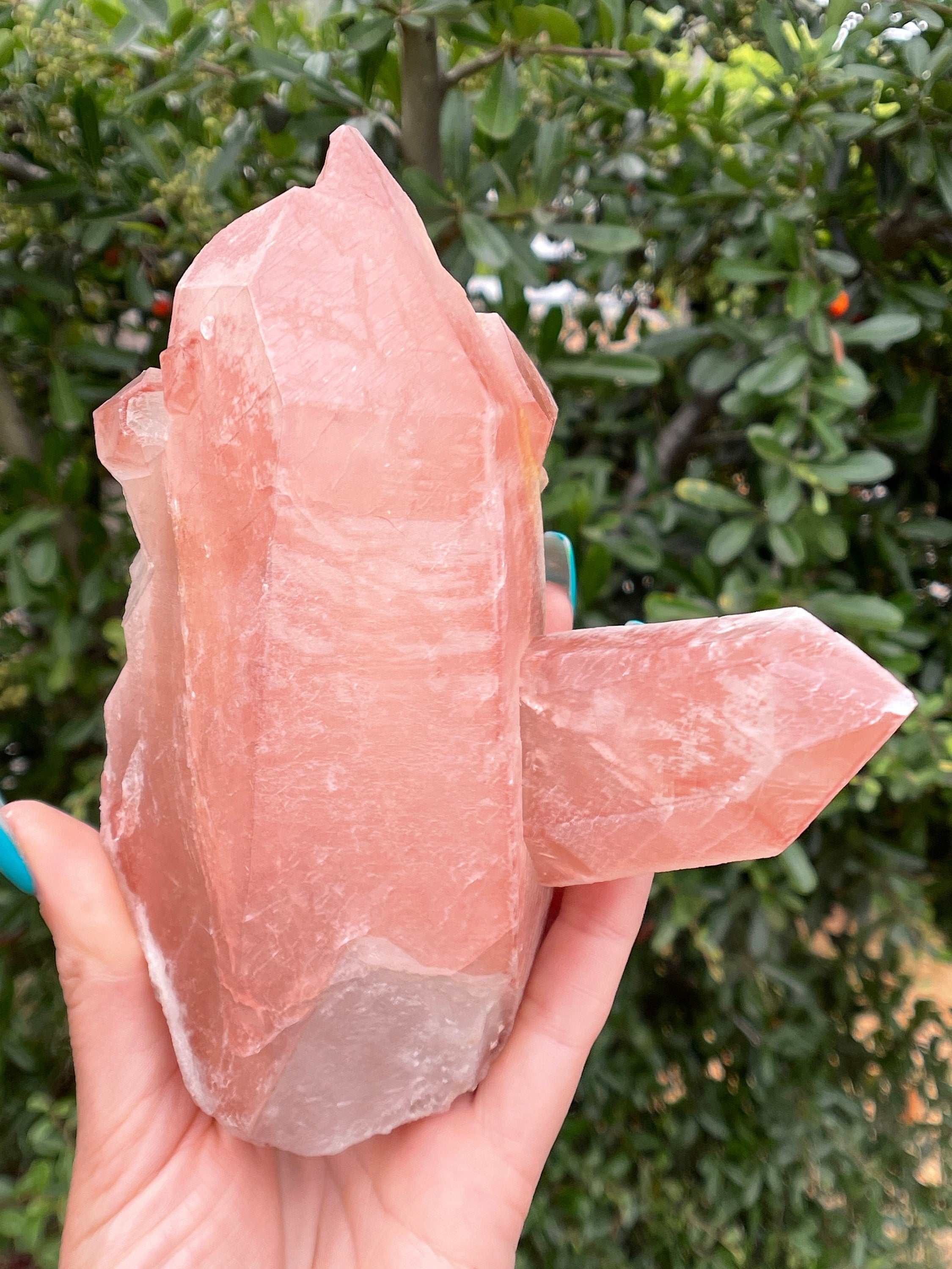 Statement Pieces – Iris Unique