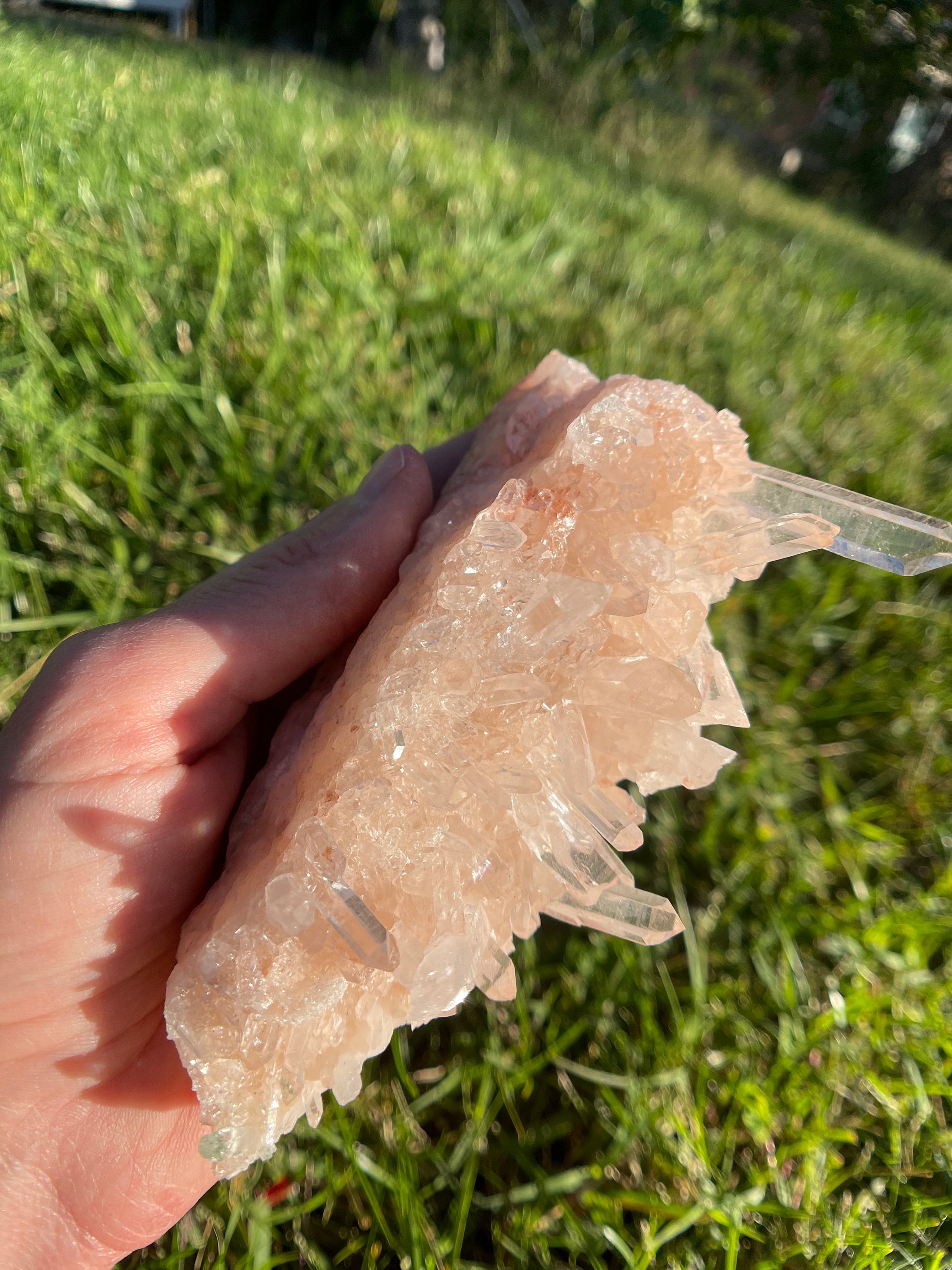 Statement Pieces – Iris Unique