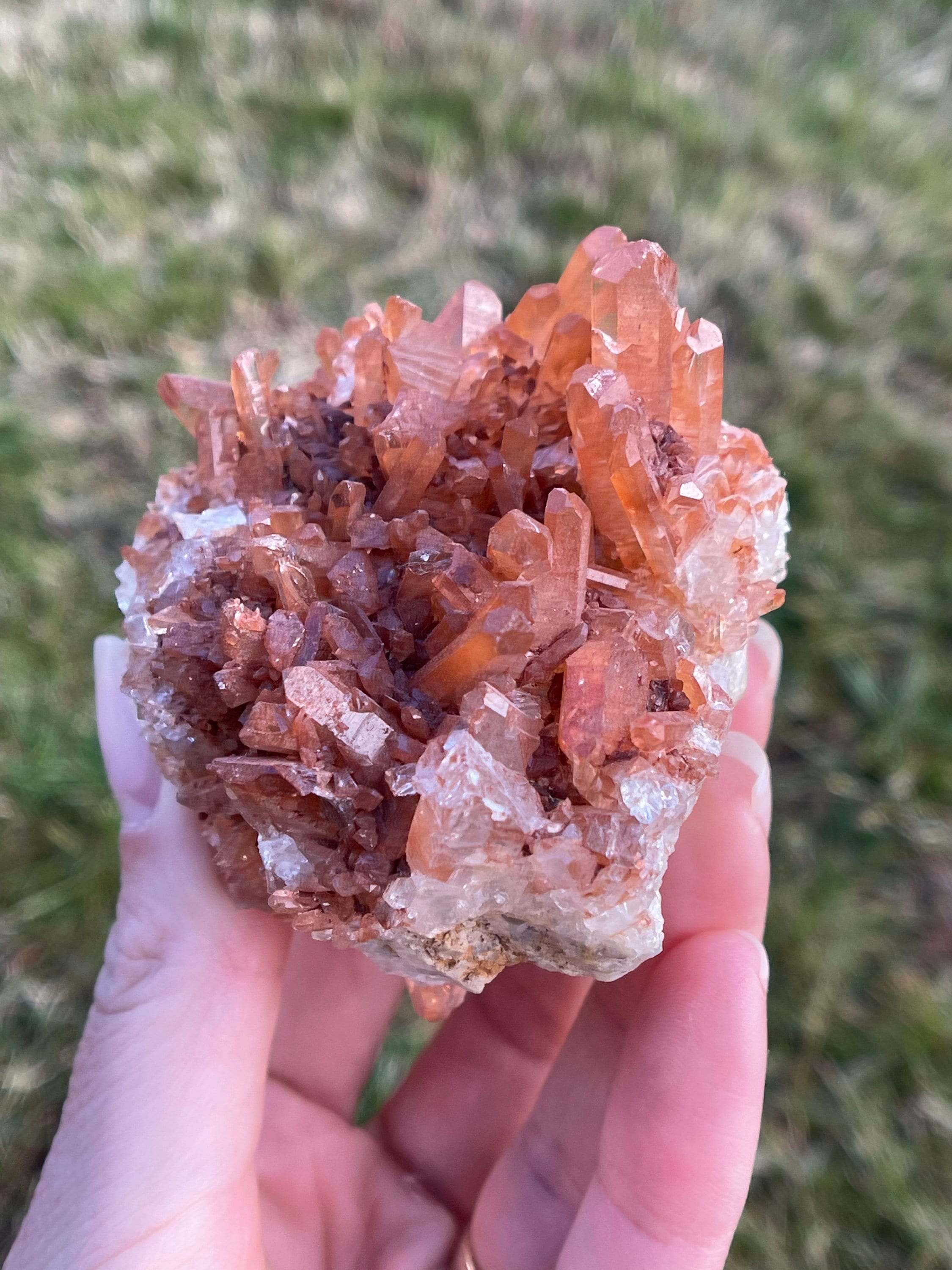 Needle – Iris Unique