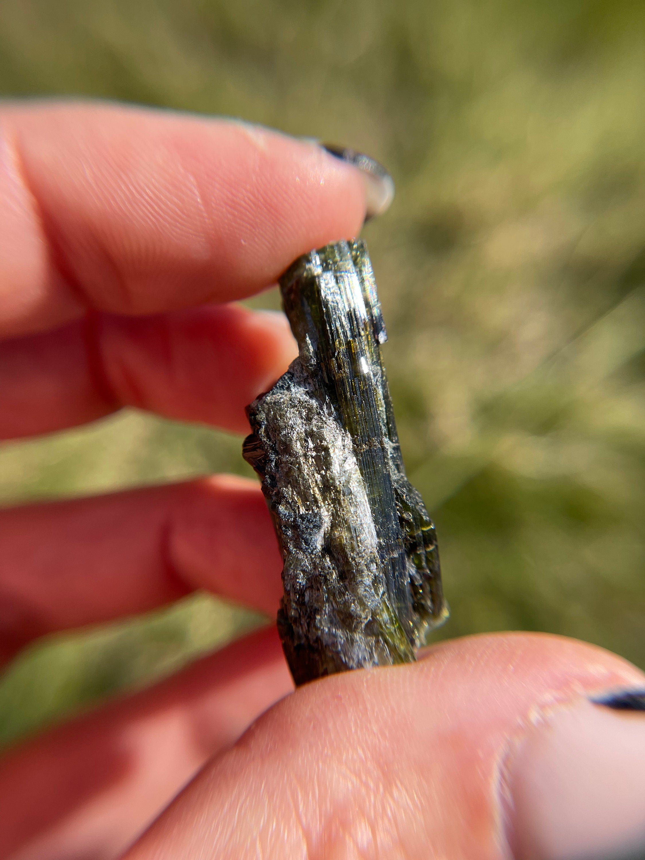 Cluster – Iris Unique