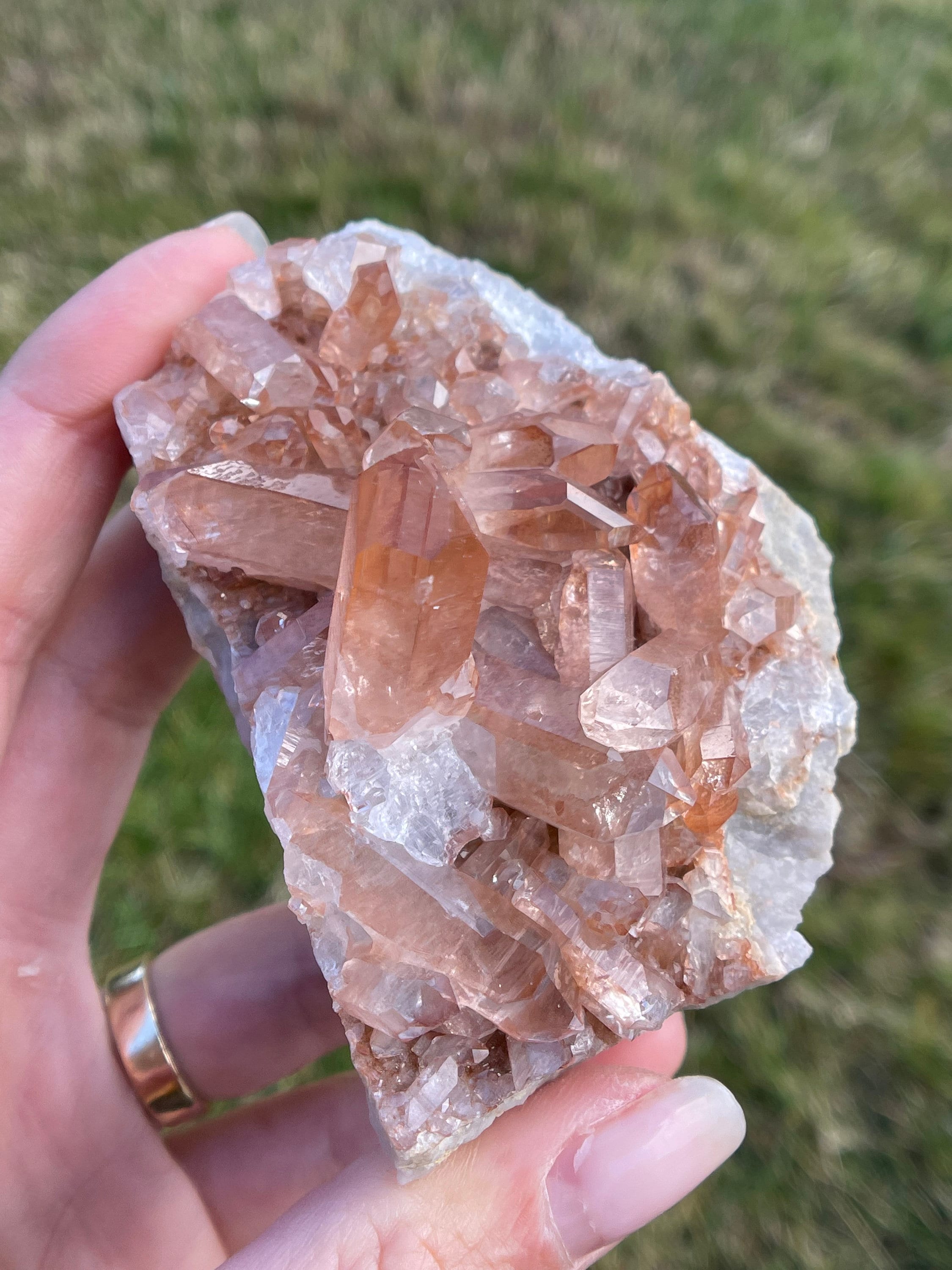 Window: Left Activation – Iris Unique