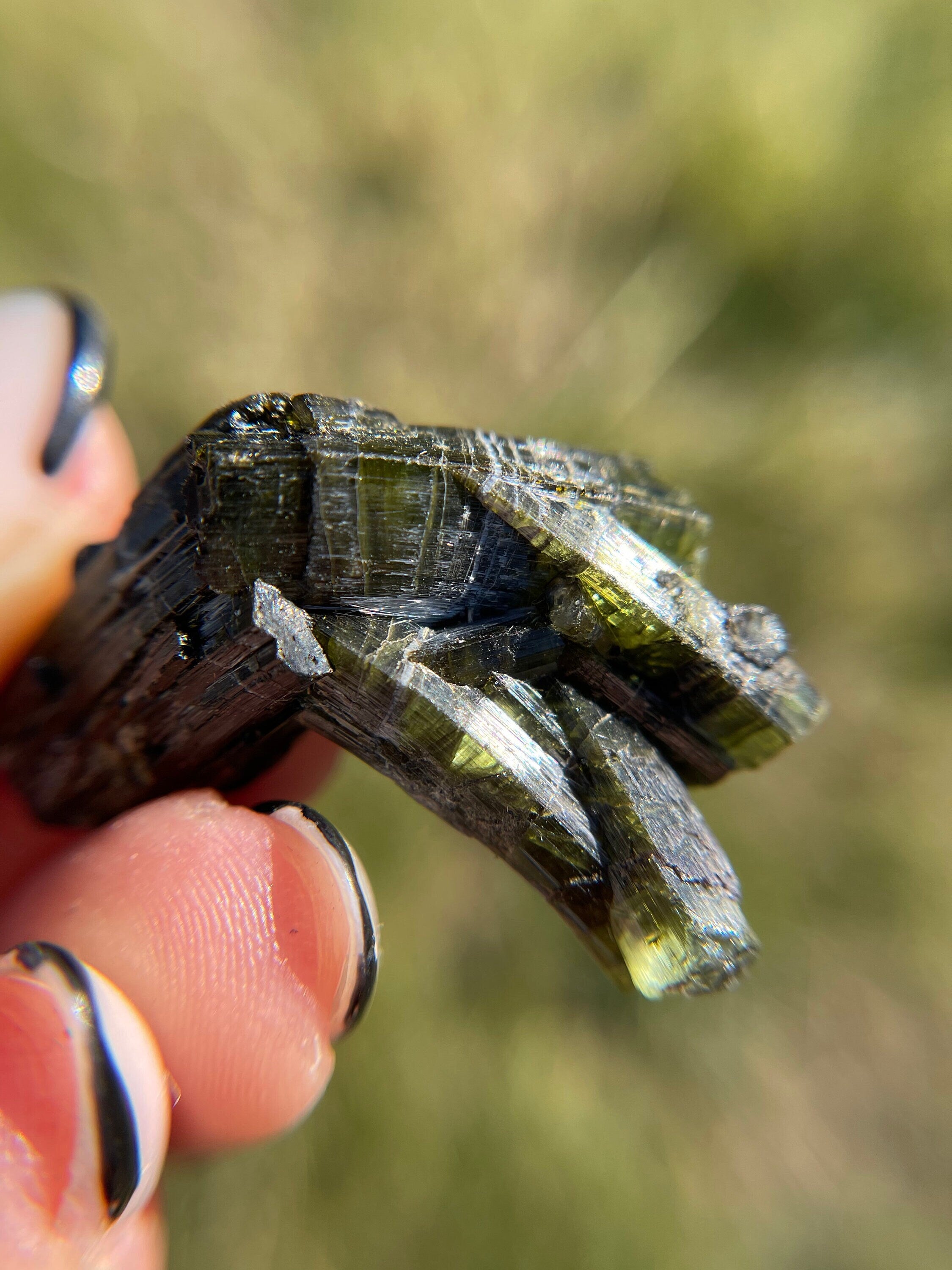 Twin Flame – Iris Unique