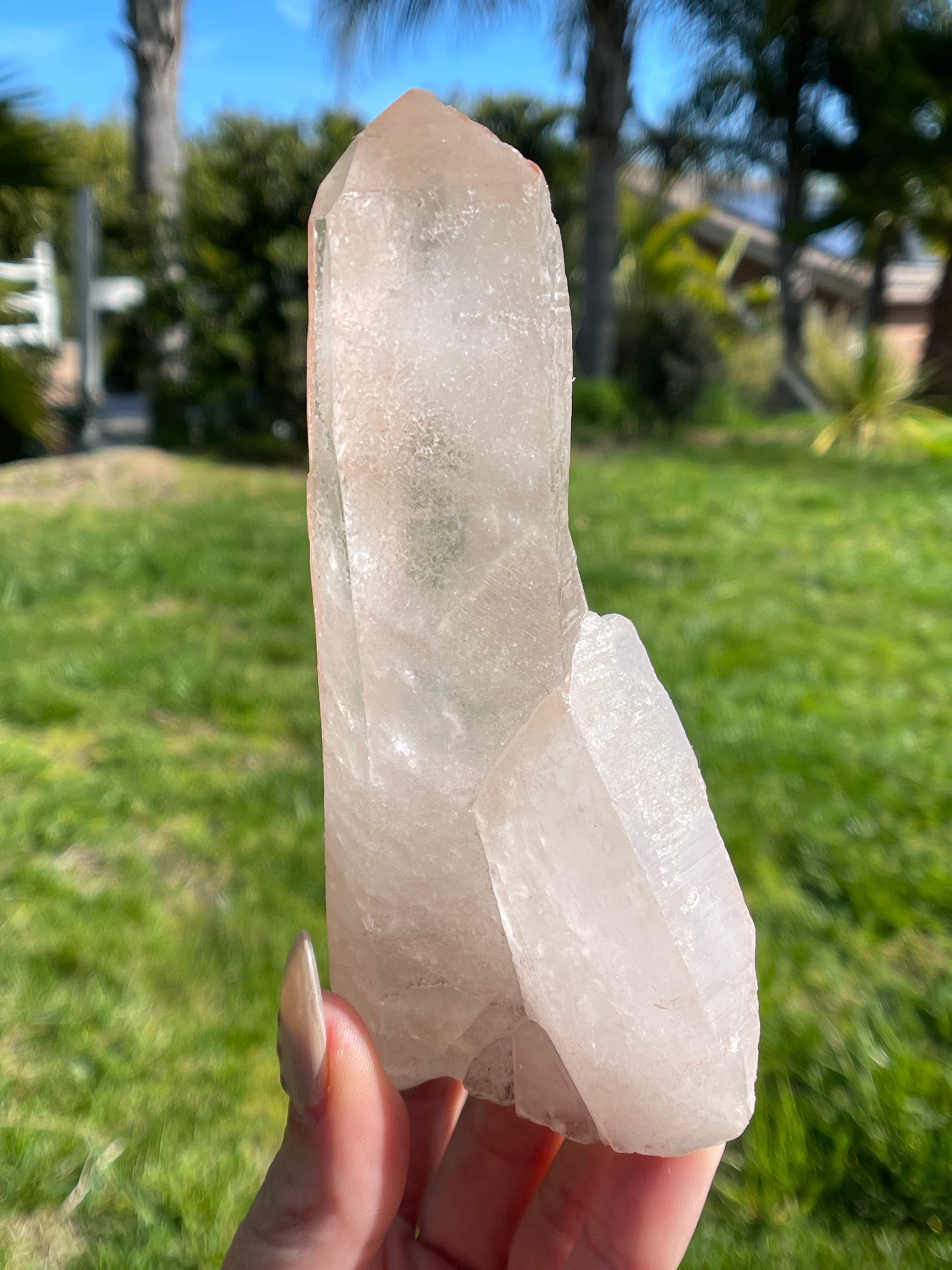 Devic Temple – Iris Unique