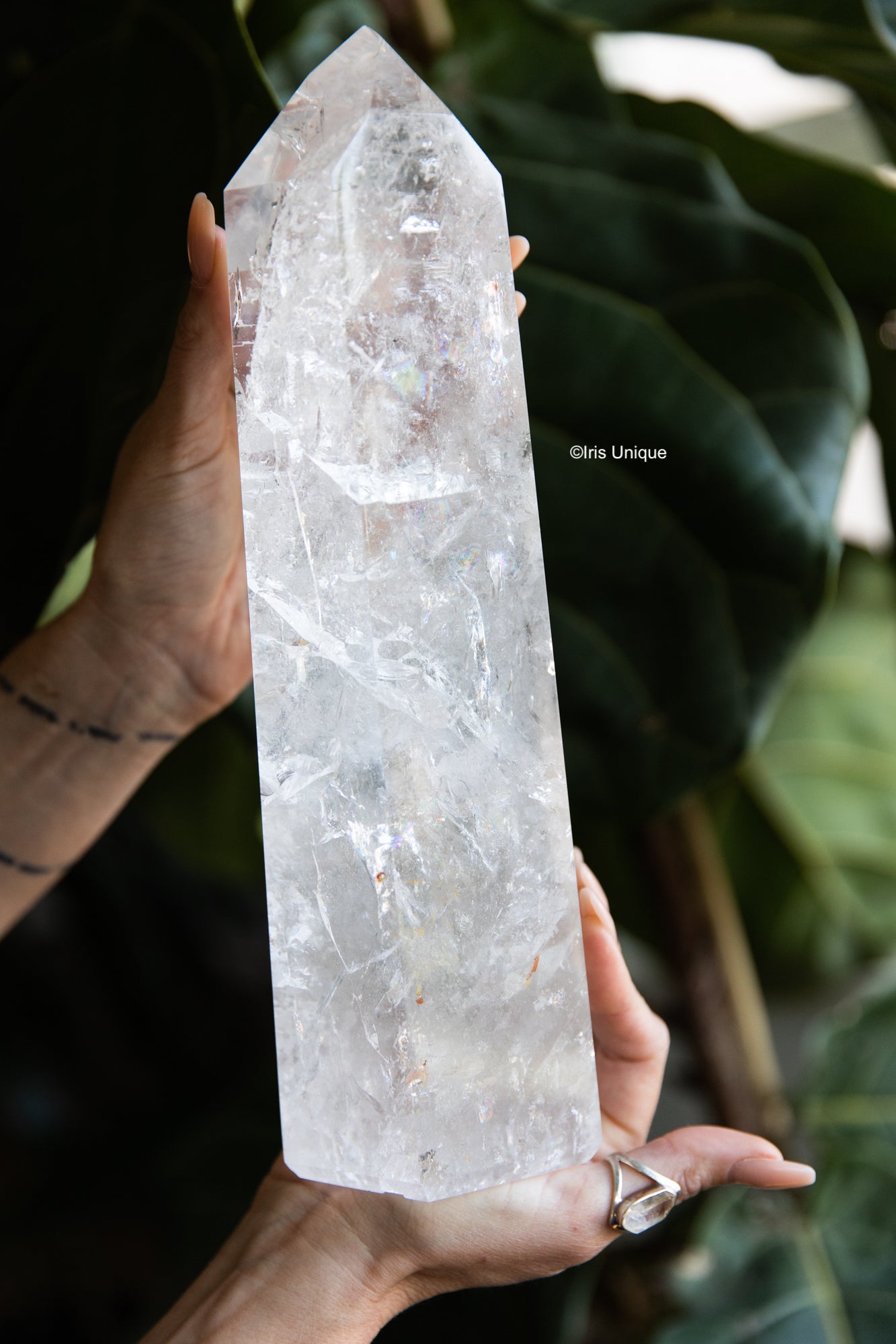 Devic Temple – Iris Unique