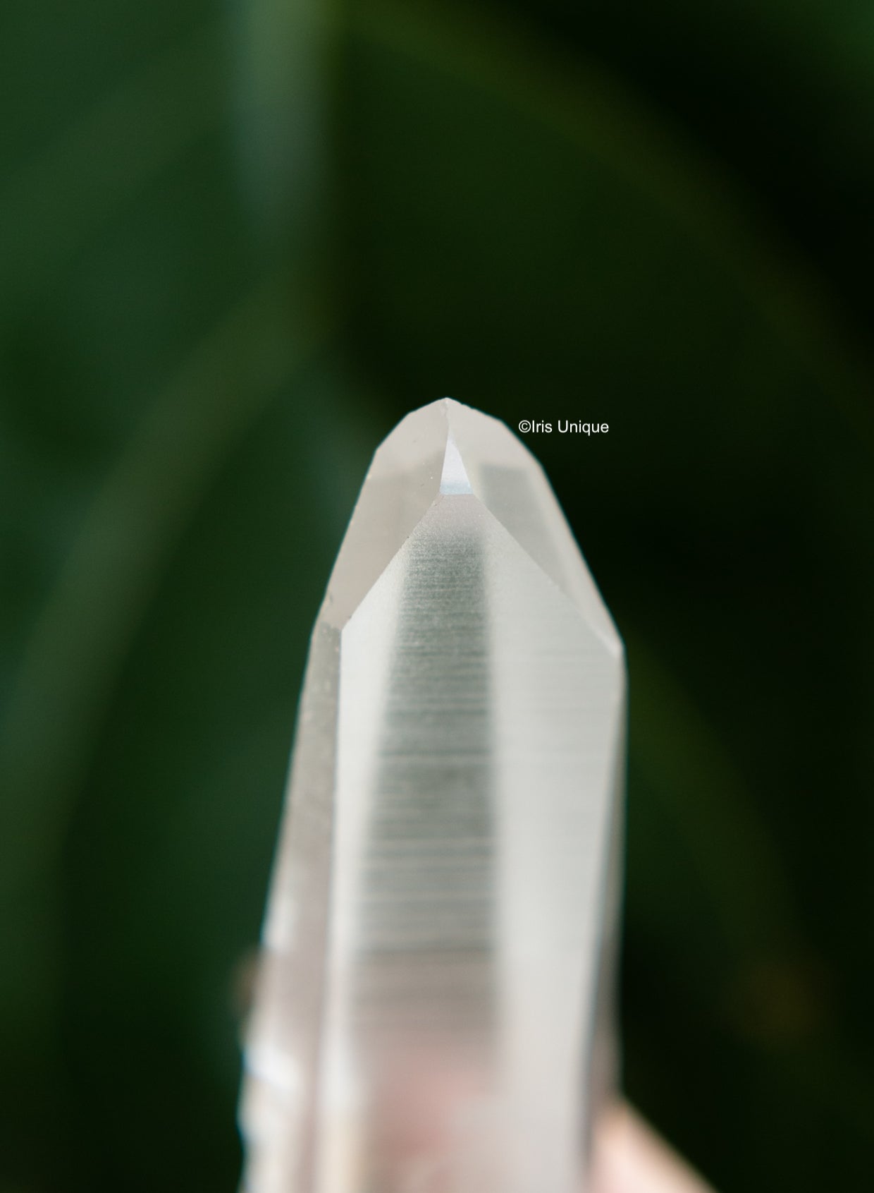 Transmitter – Iris Unique